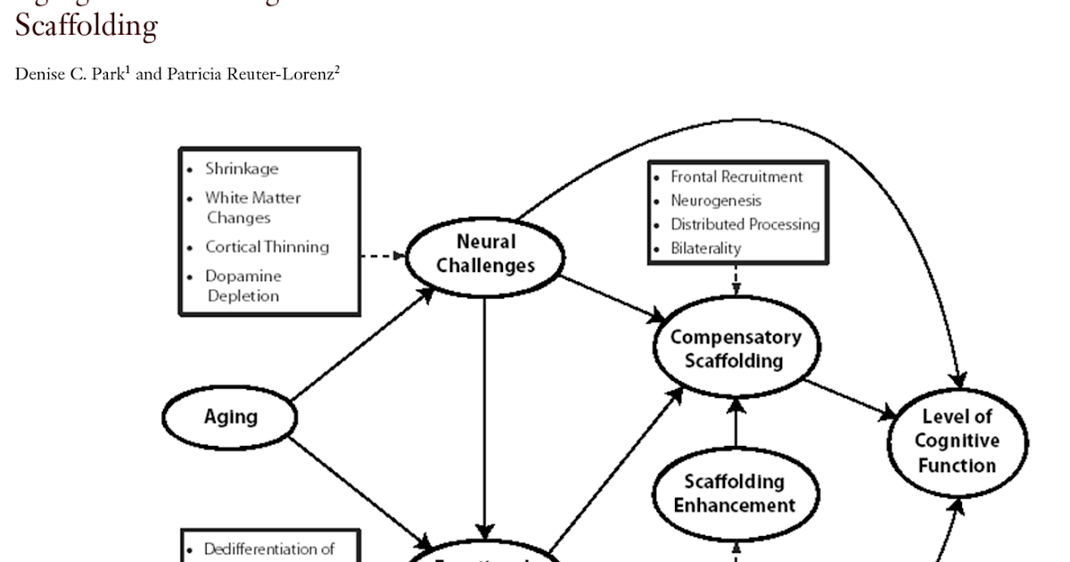 IQ's Corner: Today's Big Picture: Scaffolding Theory of Aging and Cognition